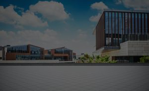 Texidium: Read & Mark-up Digital Textbooks Online & Offline